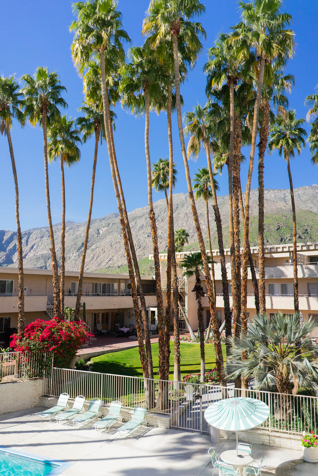 Weekend in Palm Springs: Itinerary & Things to Do | Pommie Travels