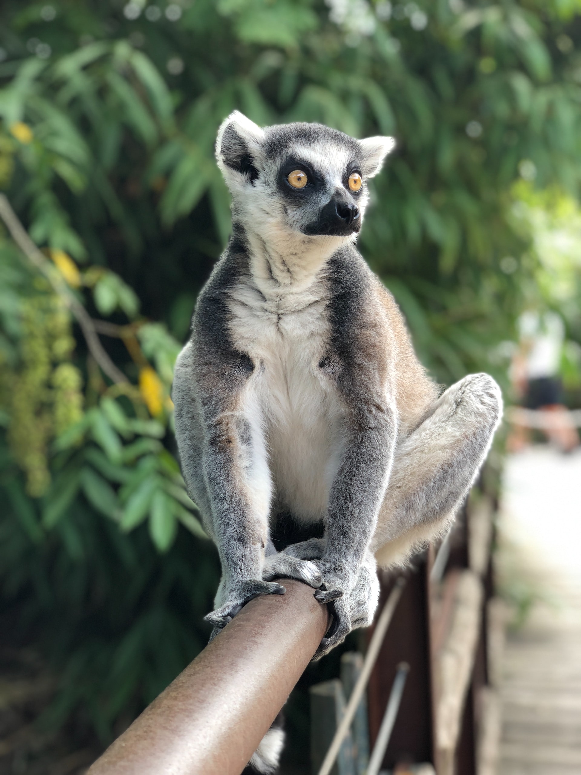 Madagascar Travel Guide | Pommie Travels