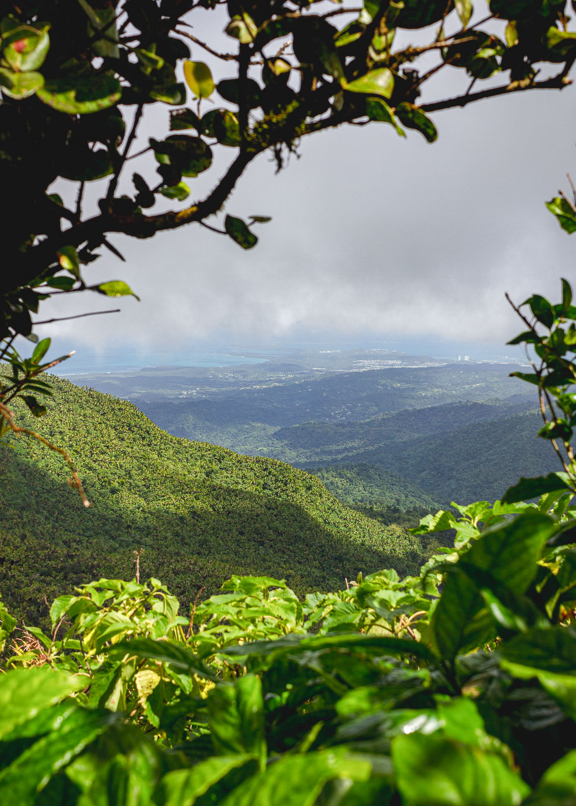 What is Puerto Rico Known For? 18 Things PR is Famous For!