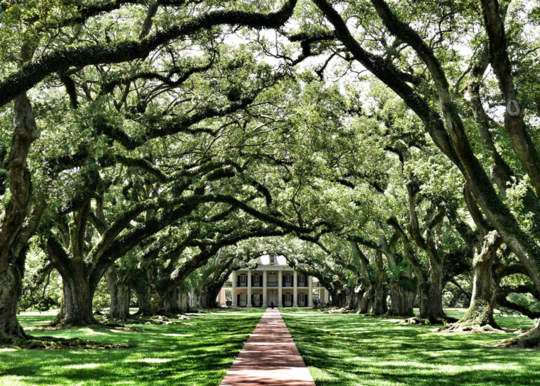 What is Louisiana Known For? 22 Things Louisiana is Famous For