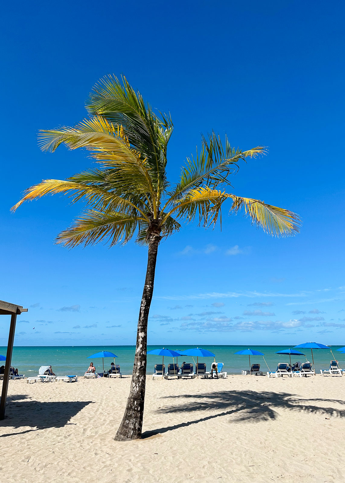 10 Best Beaches in San Juan Where You Can Soak Up the Sun!