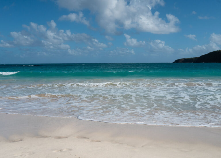Day Trip to Culebra from San Juan: The Ultimate Guide!