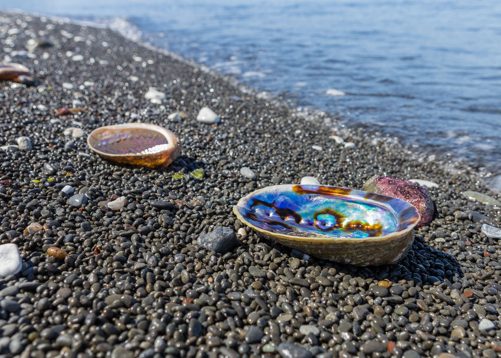 17 Souvenirs From New Zealand to Remember Your Trip By | Pommie Travels